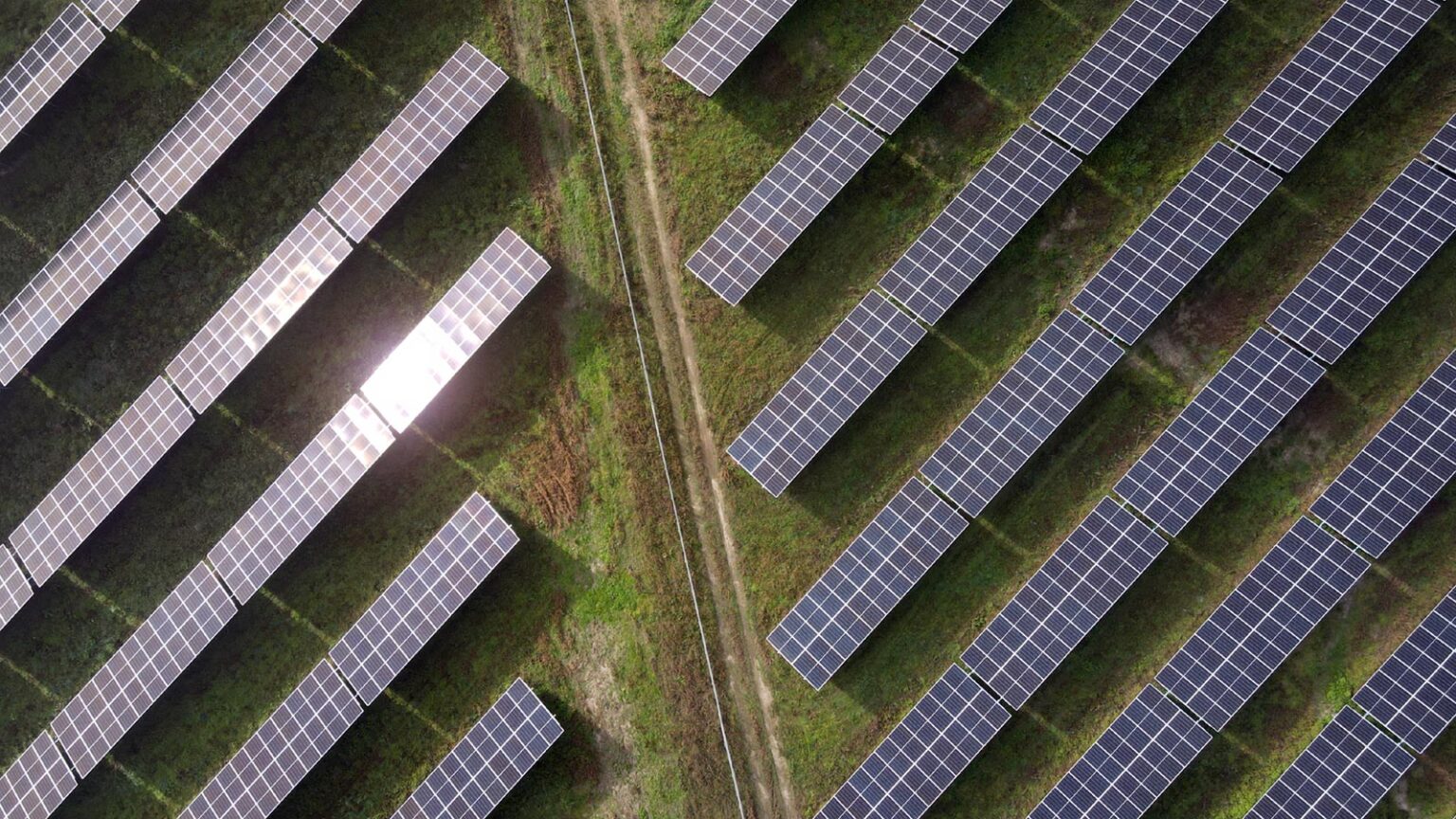 Budowa farmy fotowoltaicznej – proces inwestycyjny od podstaw